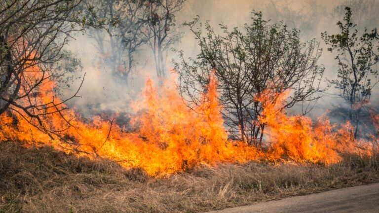 South Australia maps bushfire threats to 2050 in first-ever statewide ...