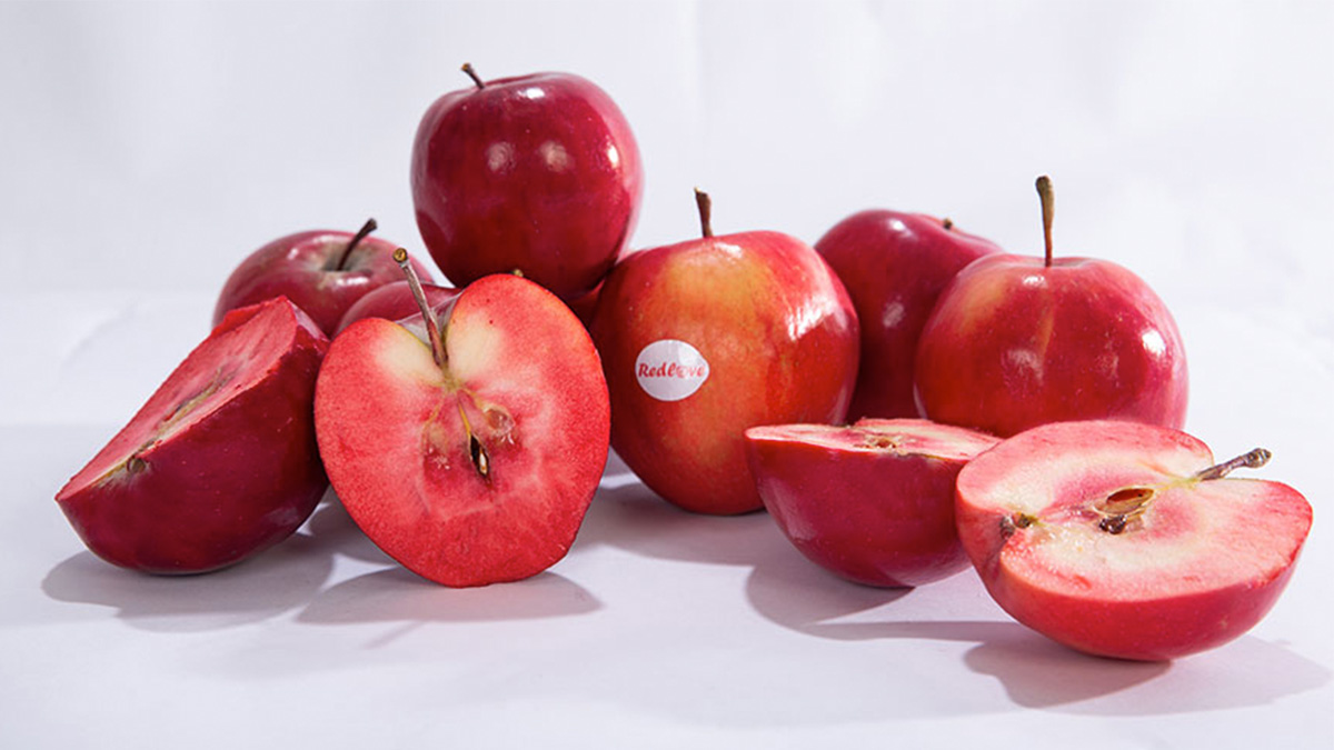 Red Apple Varieties