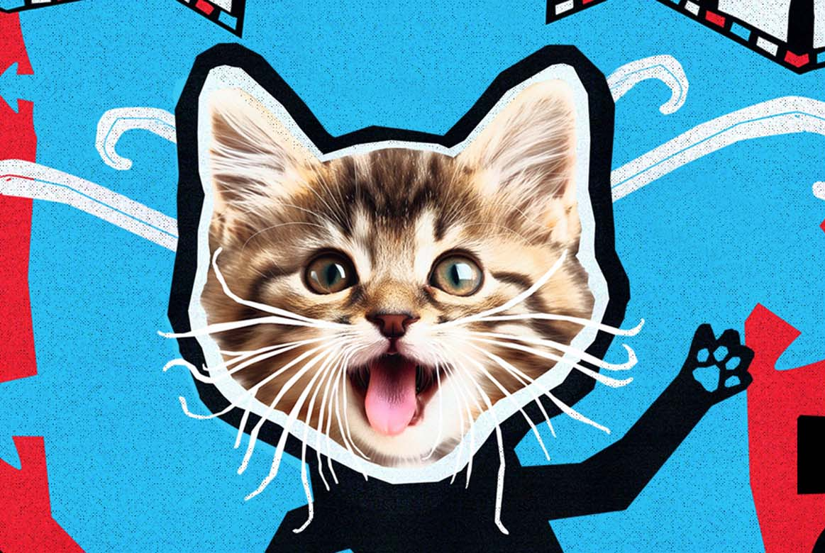 Cat Video Fest 2024 - Glam Adelaide