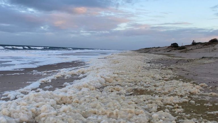 Adelaide takes center stage in global marine research with new $3.2 ...