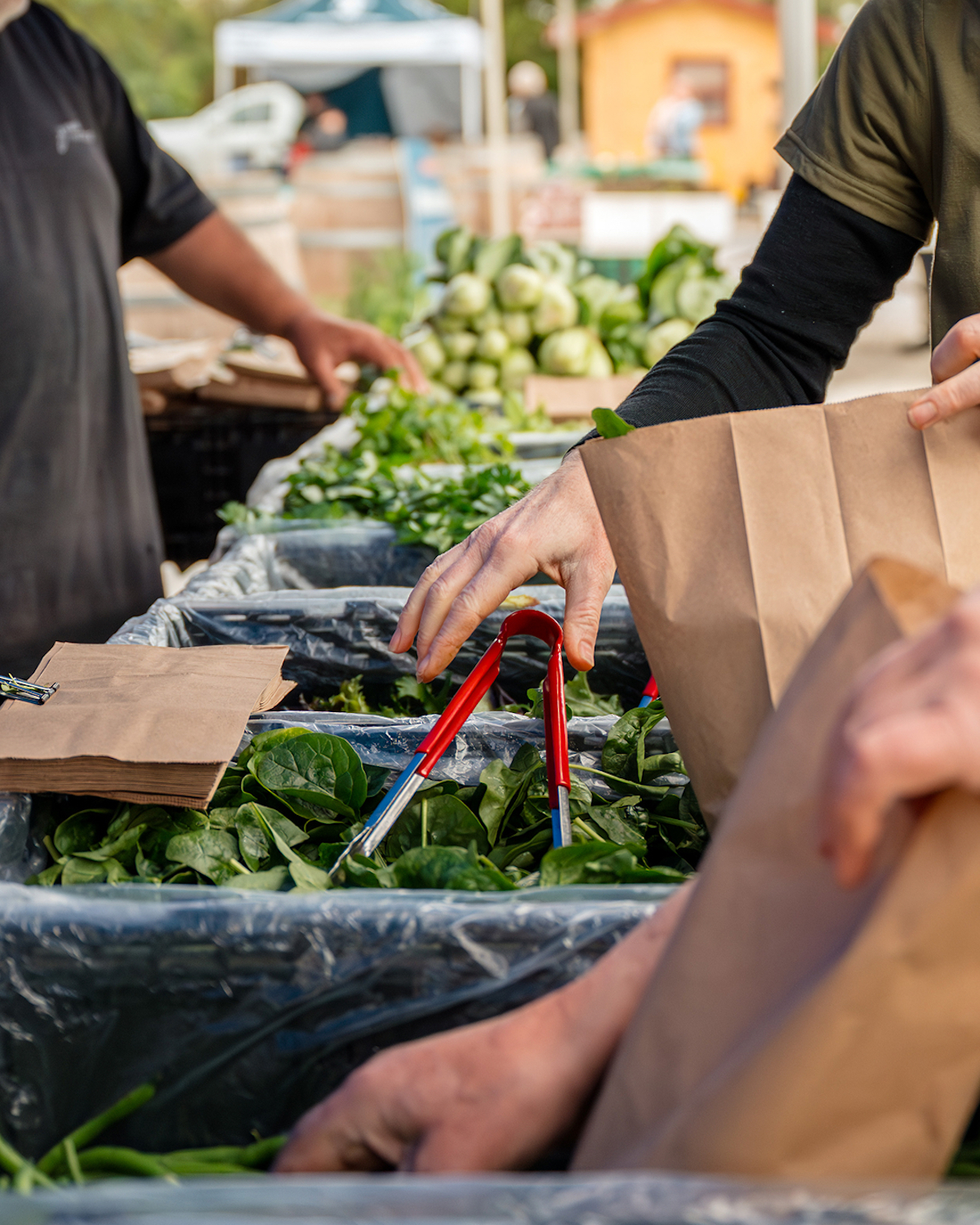 Your South Australian market guide for the Easter long weekend - Glam ...
