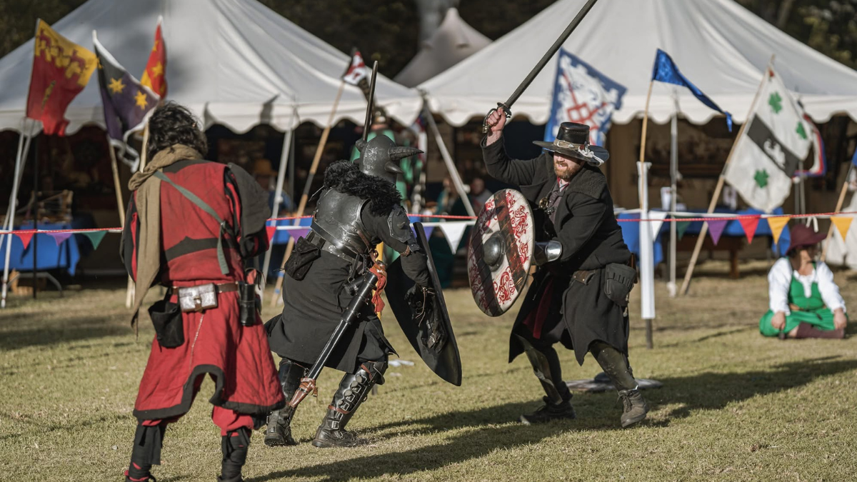 Hear ye, hear ye! SA Medieval Fair returns to Paracombe with costume ...