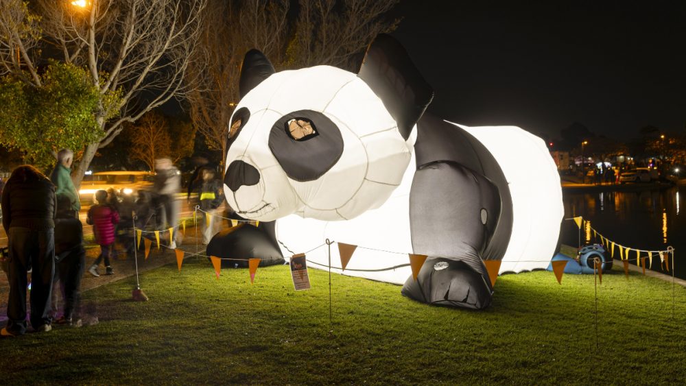 A free lights festival with giant glowing animals, fire shows and a ...