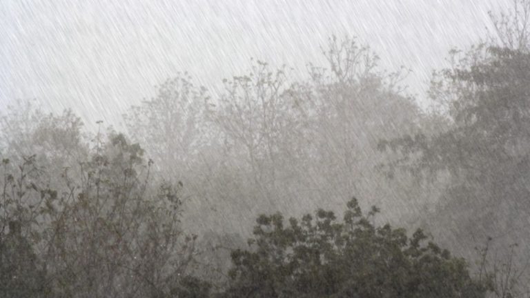 Severe weather warning issued for heavy rainfall across parts of South ...
